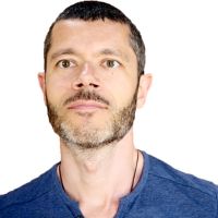 David - l'Orme Vert – Tipeee