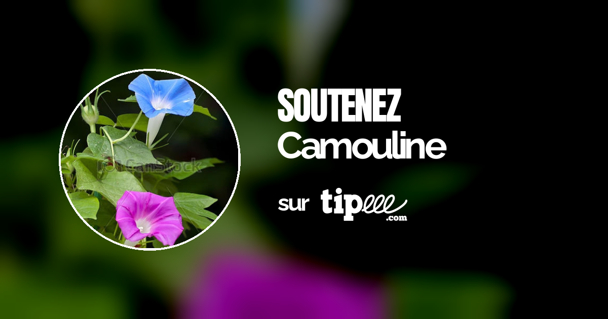 Camouline – Tipeee