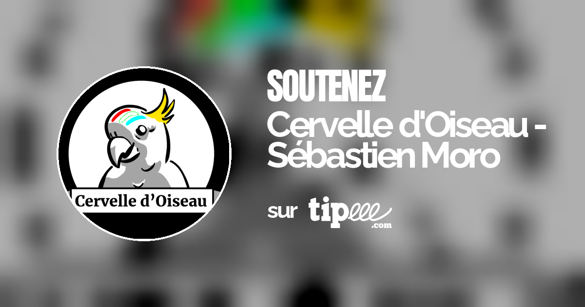 Tipeee – Cervelle d'Oiseau - Sébastien Moro – Tipeurs