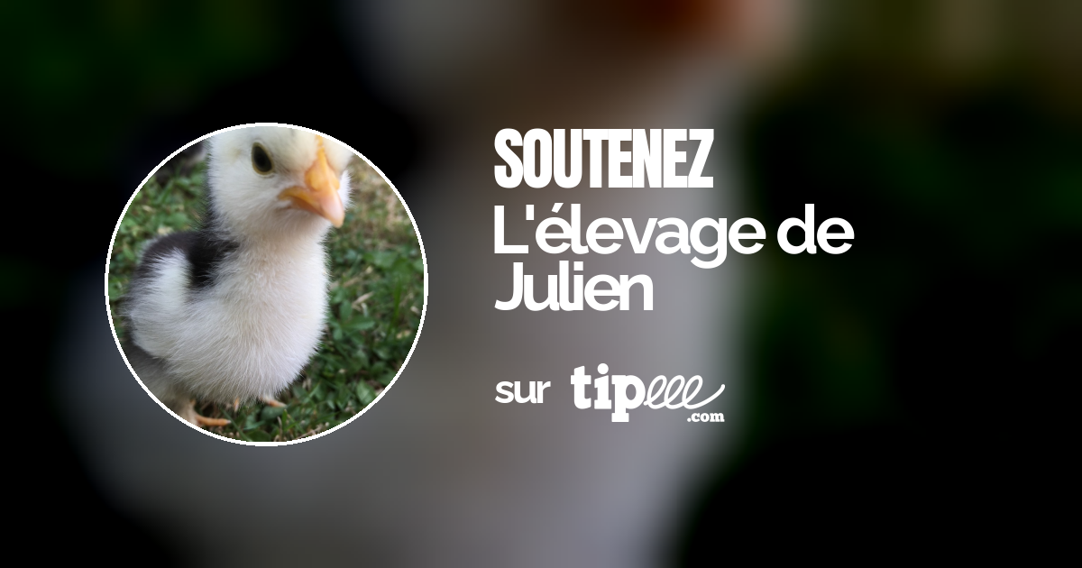 L'élevage de Julien – Tipeee