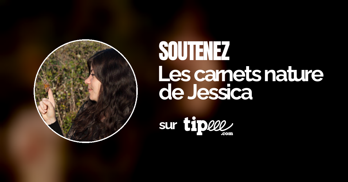 Les carnets nature de Jessica – Tipeee