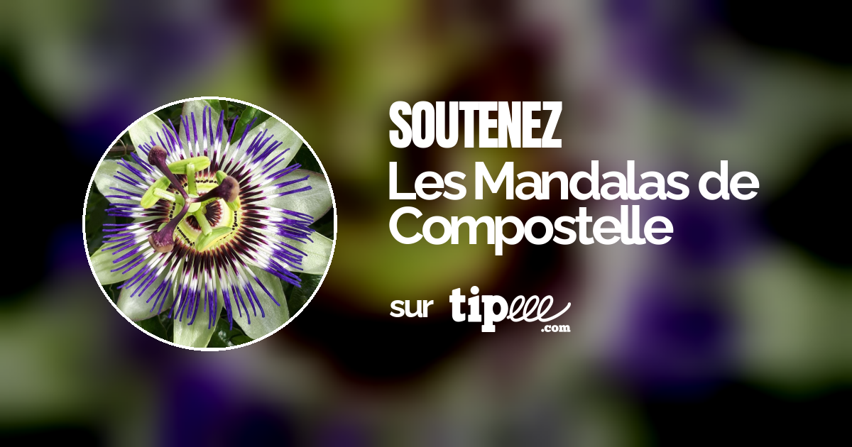 Les Mandalas de Compostelle – Tipeee