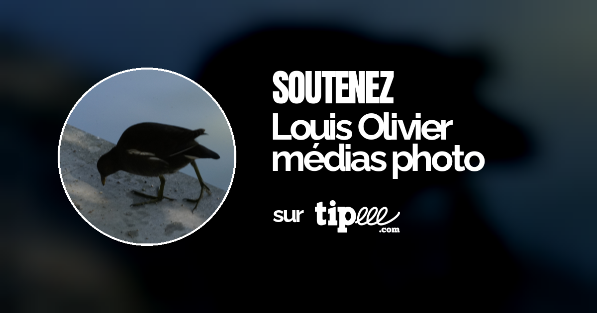Louis Olivier médias photo – Tipeee