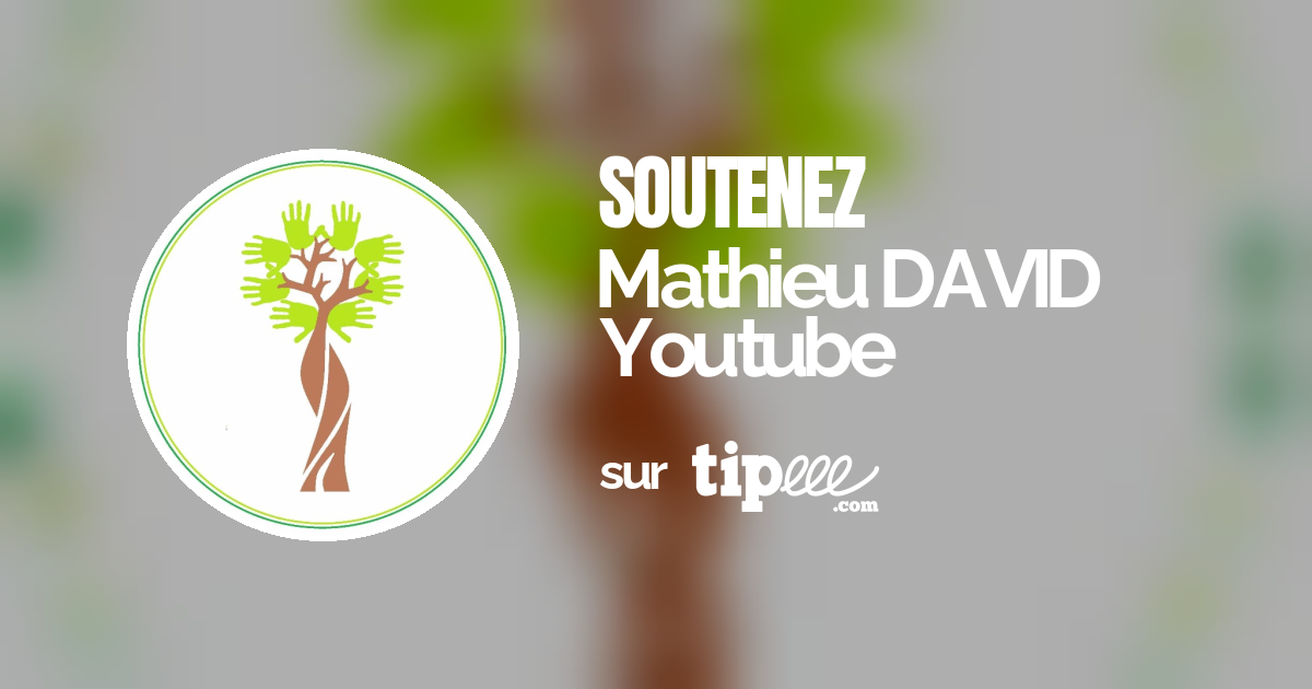 Mathieu DAVID Youtube – Tipeee
