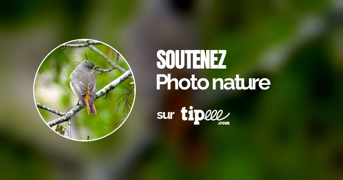 Photo nature – Tipeee