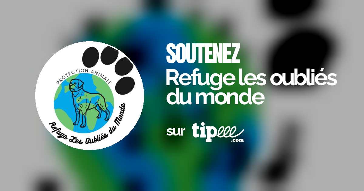 Refuge les oubliés du monde – Tipeee