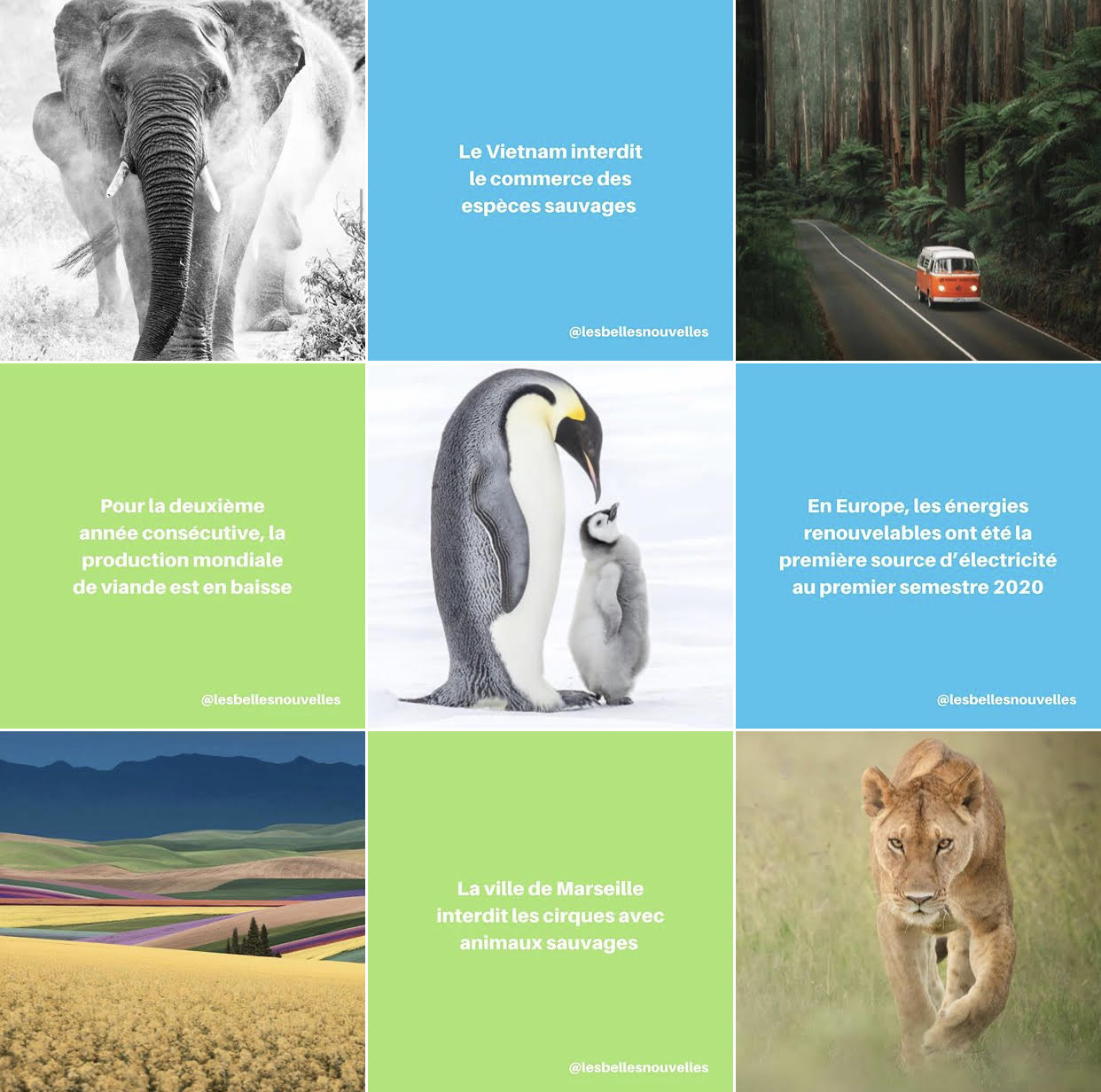 Les Belles Nouvelles – Tipeee