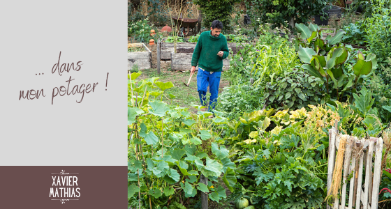 Xavier Mathias – Tipeee